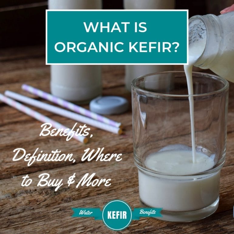 How to Make Water Kefir Without Sugar? (Best Substitutes for Sugar ... How to Make Water Kefir Without Sugar? (Best Substitutes for Sugar ...
